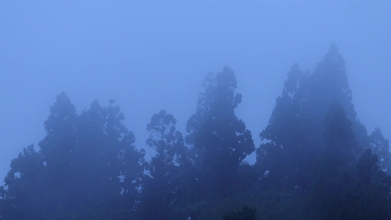 A Mirage On The Cold Sea by Shingo Mimura | TuneCore Japan